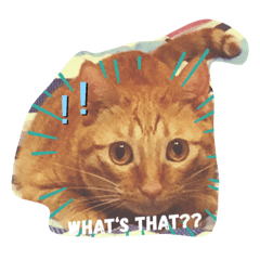 Kris_20191203032752 – LINE stickers | LINE STORE