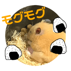 Ricco_20191203210440 - Stiker LINE | LINE STORE