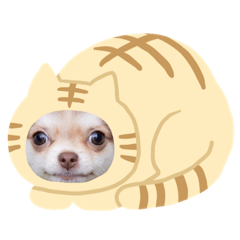 Ufa_20191203211130 – LINE stickers | LINE STORE