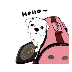 maltese PP_20191203191147 – LINE stickers | LINE STORE