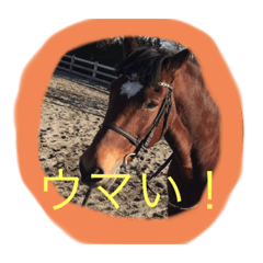 asa_20191206124003 - Stiker LINE | LINE STORE