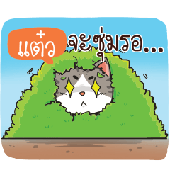 TAEW cheeky cat - LINE スタンプ | LINE STORE