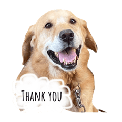 Momoko_20191222001124 – LINE stickers | LINE STORE