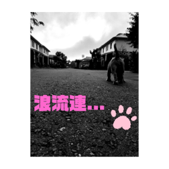 yuluNana_7765 - LINE スタンプ | LINE STORE