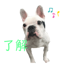 miyu_20200111125312 – LINE stickers | LINE STORE