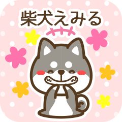 Emiru became Black Shiba - Stiker LINE | LINE STORE