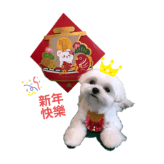 Mico_20200125234210 - LINE スタンプ | LINE STORE