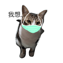 meow meow...mask – LINE stickers | LINE STORE