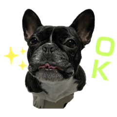 kent_20200213220423 – LINE stickers | LINE STORE