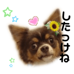 momoko_20200218082250 – LINE stickers | LINE STORE