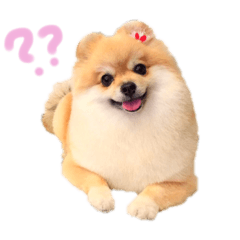 coco.01 – LINE stickers | LINE STORE