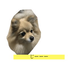 pon@_20200302192540 – LINE stickers | LINE STORE