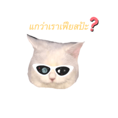 Real Kati 100% – LINE貼圖 | LINE STORE