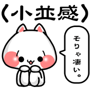 SHOBON cat 2 -For beginners- • Rumors City