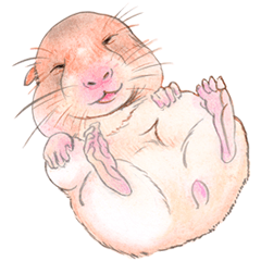 Fancy Hamster – LINE stickers | LINE STORE