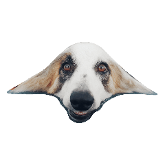 Aiya Arya – LINE stickers | LINE STORE