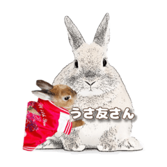 kinakoはRabbit 14 - LINE スタンプ | LINE STORE