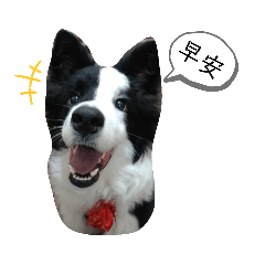 Shu_0604 – LINE stickers | LINE STORE