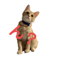 CREO_20200312201916 – LINE stickers | LINE STORE