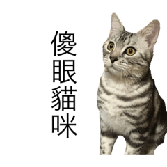 J. July – LINE stickers | LINE STORE