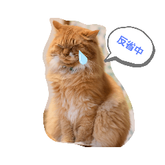 yoh_20200314112711 - Stiker LINE | LINE STORE