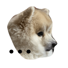 goop – LINE stickers | LINE STORE