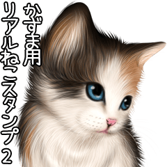 Kazuma Real pretty cats 2 - Stiker LINE | LINE STORE