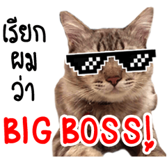 Mhee-Pooh – LINE stickers | LINE STORE