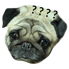 Fat Fat_ – LINE stickers | LINE STORE
