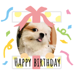 Felicia_20200327021235 – LINE stickers | LINE STORE