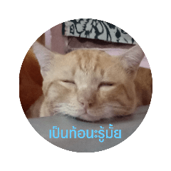 Cold milk_20200405213657 - Stiker LINE | LINE STORE