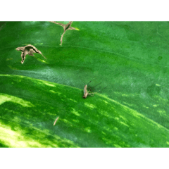 Wilson yang_20200408100205 - Stiker LINE | LINE STORE