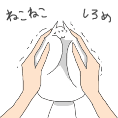 Nekoneko White eye – สติกเกอร์ LINE | LINE STORE
