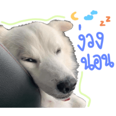 Pao x Paper – LINE stickers | LINE STORE