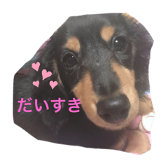 RiNa_20200414210007 – LINE stickers | LINE STORE