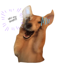 'gdpt@dpwg'gdg'gm@'pjgwpmg – LINE stickers | LINE STORE