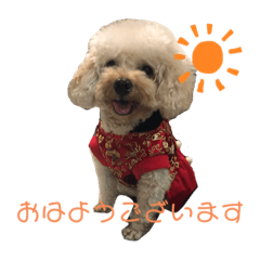 pipi_pipi_ – LINE stickers | LINE STORE