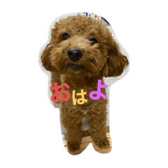 aaaka_20200427165036 – LINE stickers | LINE STORE