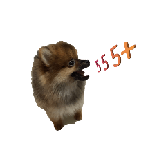 little dog PN – Stickers LINE | LINE STORE