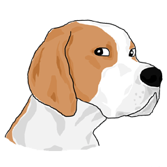 Canny Dog – LINE stickers | LINE STORE