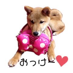 Ami_20200501154835 – LINE stickers | LINE STORE