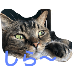 Mii stamp 1125-1122 – สติกเกอร์ LINE | LINE STORE