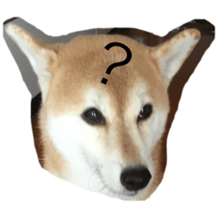 momoko_20200502140118 – LINE stickers | LINE STORE