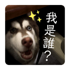 Bala_20200506004541 – LINE stickers | LINE STORE