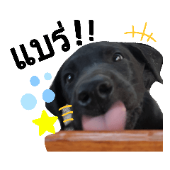 mihawk_20200429233610 - LINE スタンプ | LINE STORE