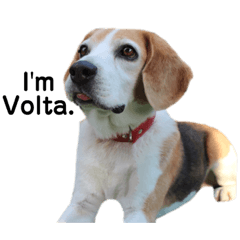 Volta – Stickers LINE | LINE STORE