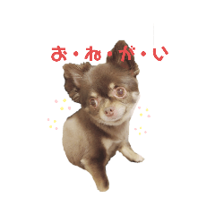 mimomo_20200505163912 – LINE貼圖 | LINE STORE