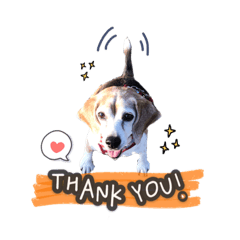 MY小米 – LINE貼圖 | LINE STORE