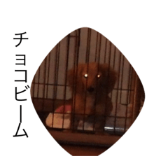 BRICs_20200509094137 – LINE stickers | LINE STORE