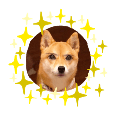 yama_20200515192317 - Stiker LINE | LINE STORE